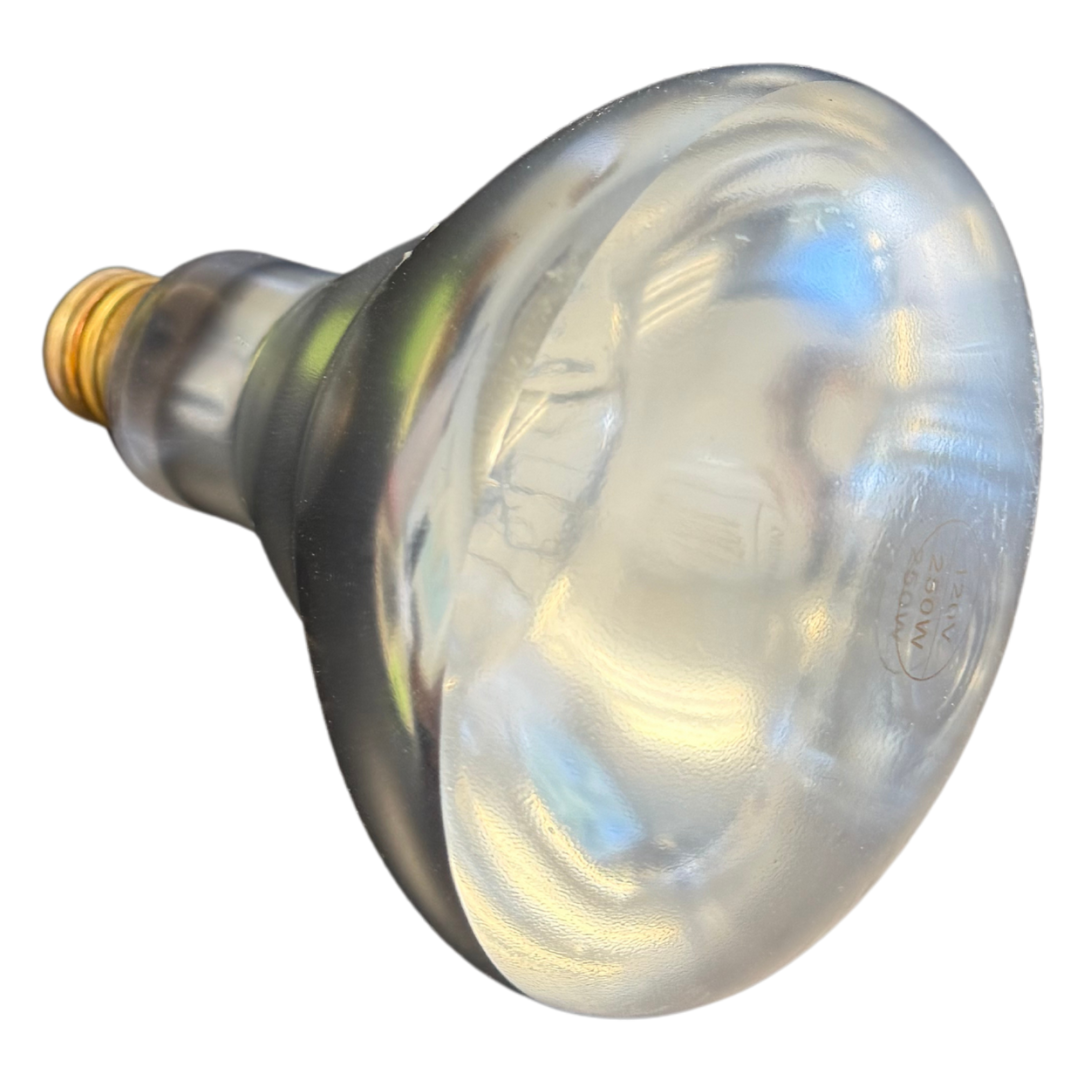 250 Watt Heat Lamp Bulb (1 pc) – SYBO Kitchen